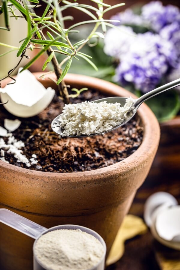 Crafting Homemade Phosphorus Fertilizer: DIY Methods - The Plant Bible