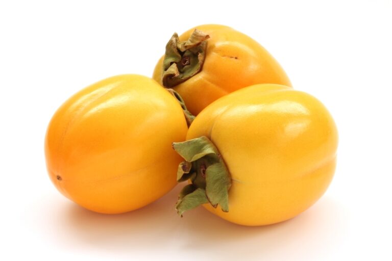 When is the Persimmon Season: A Definitive Guide - The Plant Bible