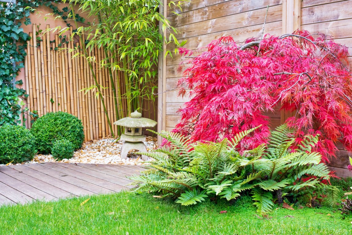 Zen Garden Ideas on a Budget - The Plant Bible