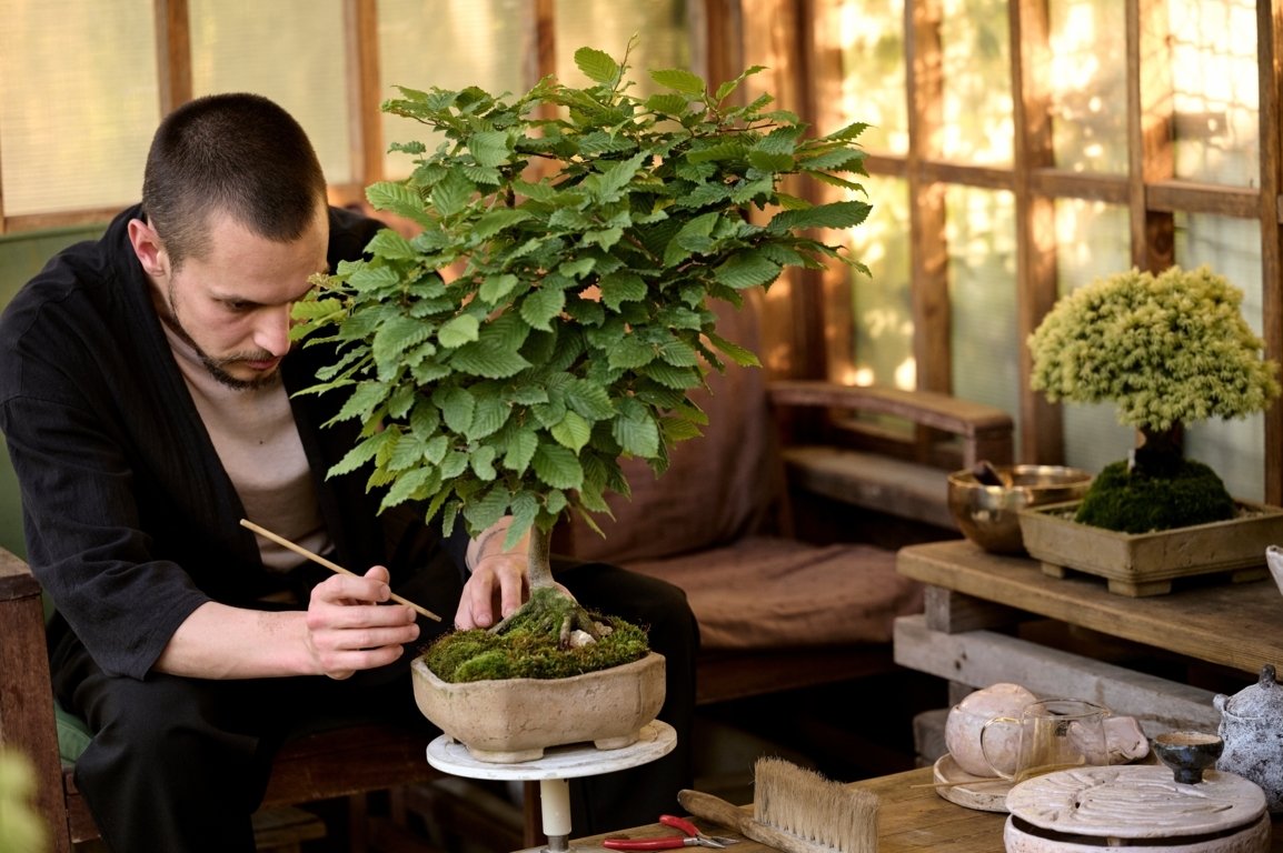How to Grow a Bonsai Tree From a Cutting - The Plant Bible