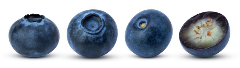 Uncovering the Truth: Do Blueberries Have Seeds? - The Plant Bible