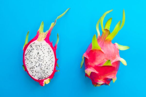 Blue Dragon Fruit Plant: A Guide on Planting, Growing and Caring