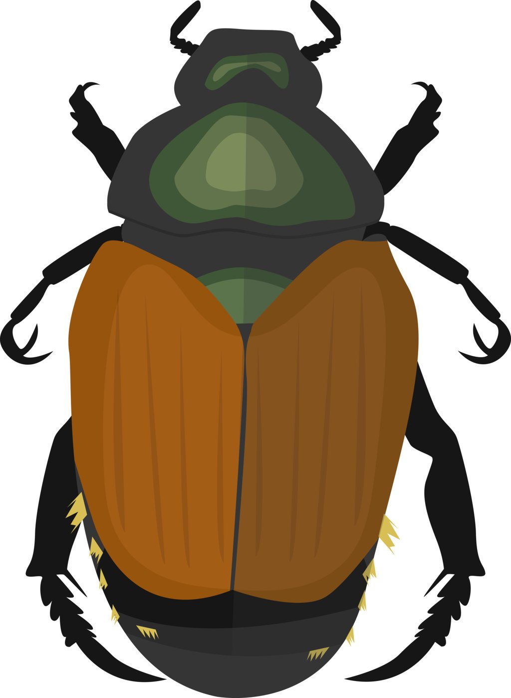 Japanese Beetles vs June Bugs: A Comparison Guide - The Plant Bible