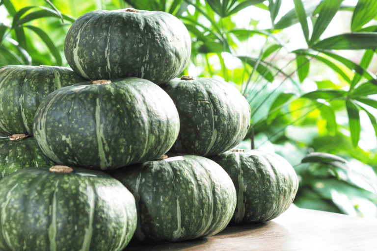 From Decor to Delicacy: The Many Uses of Green Pumpkin Varieties