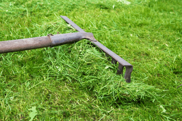 Cutting-edge Gardening: The Pros and Cons of Using Grass Clippings as Mulch