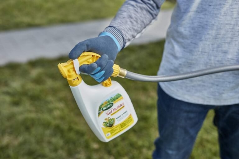 The Expert's Choice: Ranking the Best Liquid Lawn Fertilizer for Lawn