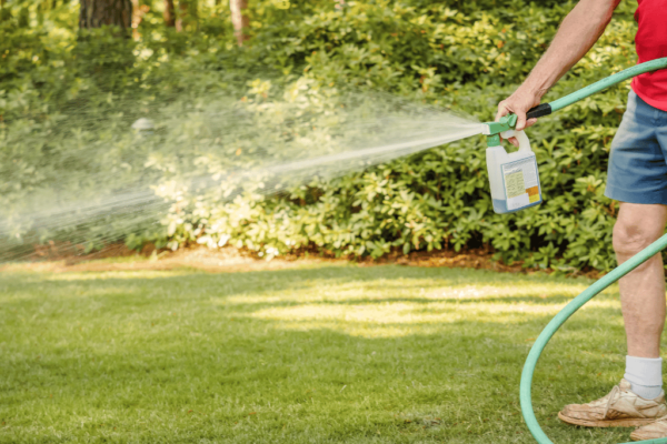 The Expert's Choice: Ranking the Best Liquid Lawn Fertilizer for Lawn