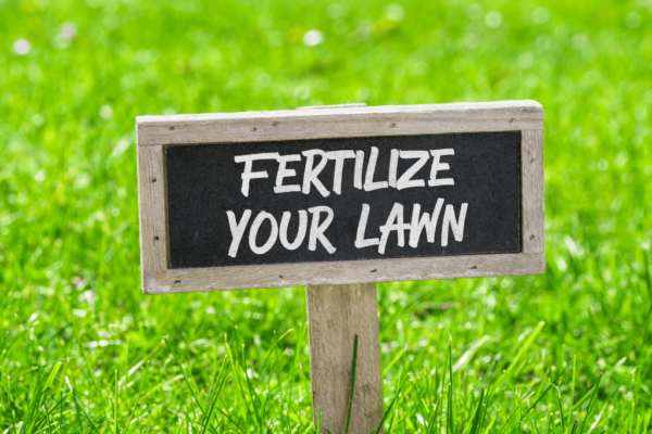 Best Lawn Fertilizer for Fall 2024 - A Complete Review Guide