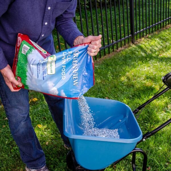 Best Lawn Fertilizer for Fall 2024 - A Complete Review Guide