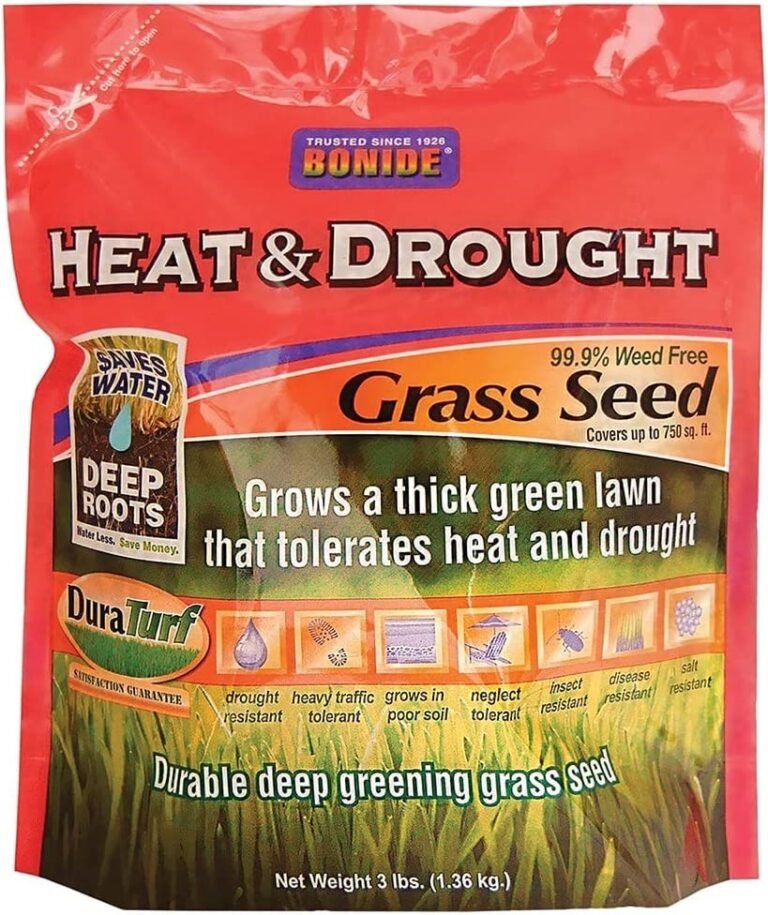 Preserving Beauty in Dry Spells: The Best Drought Resistant Grass for a ...