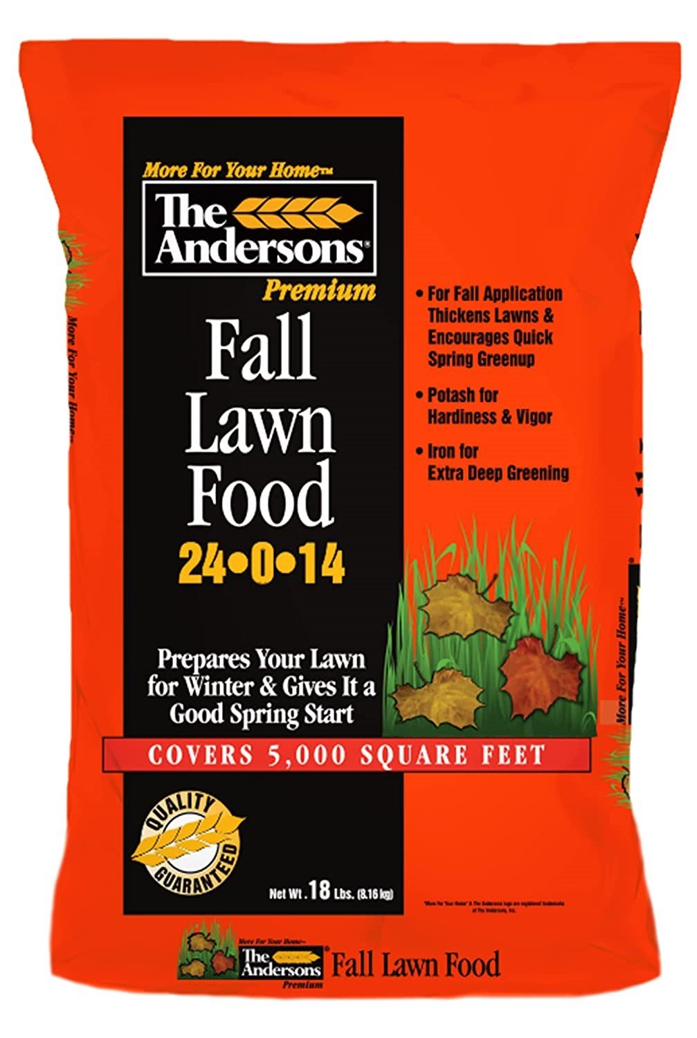 Best Lawn Fertilizer for Fall 2024 - A Complete Review Guide