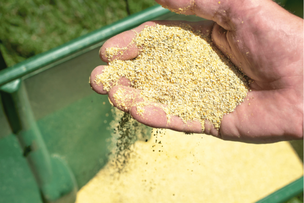 Best Lawn Fertilizer for Fall 2024 - A Complete Review Guide