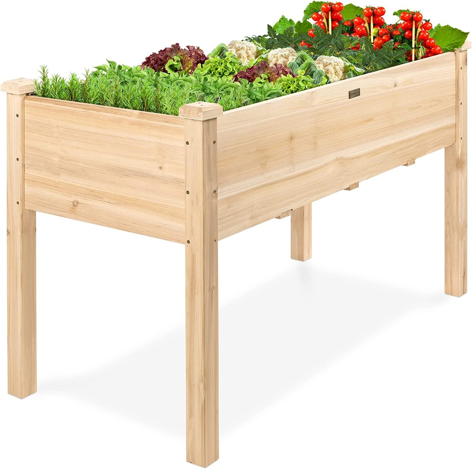 Best Raised Garden Beds For Arizona - The Plant Bible