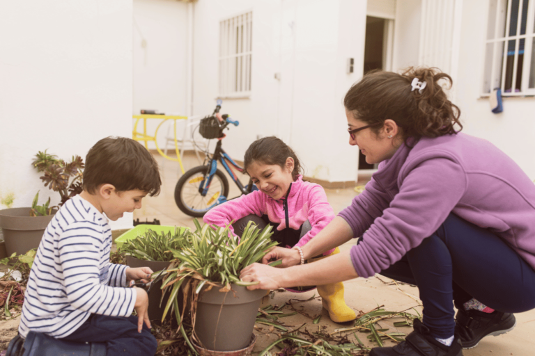 How to Make a Spider Plant Bushier: A Comprehensive Guide