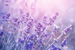 25 Flowers that Represent Strength: Nature's Inspirational Creations